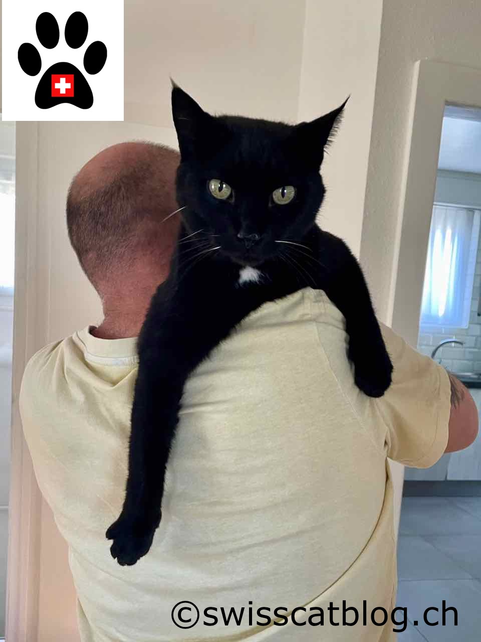 Goal achieved | The Swiss Cats